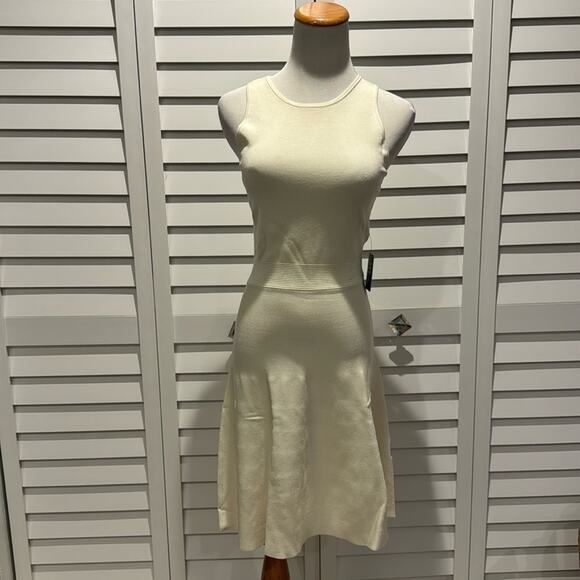 Express | Dresses | Express Nwot Dress Fitted And Gorgeous In A Blend ...